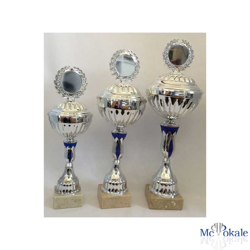 Pokale » Seite 2 von 3 » McPokale